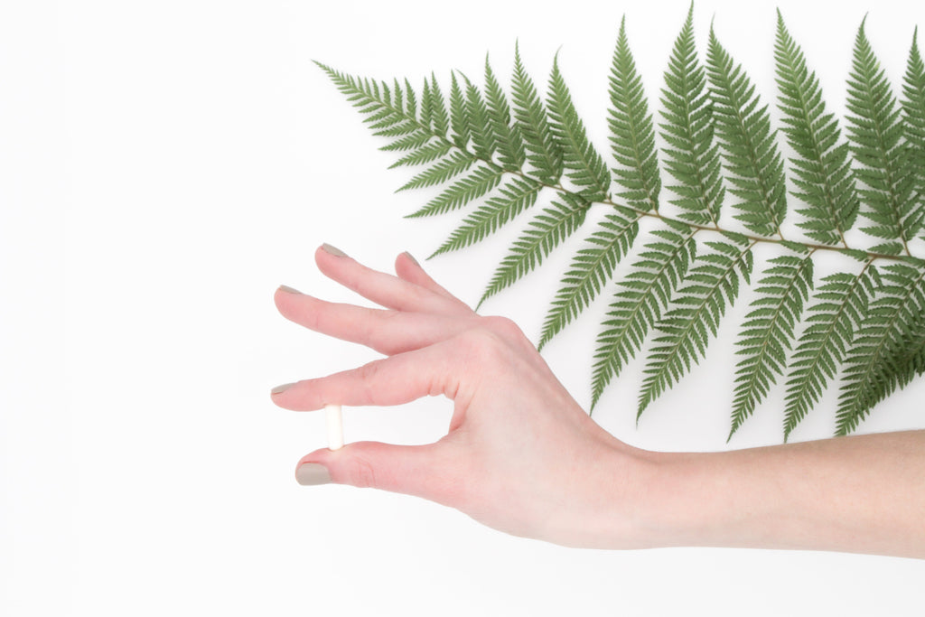 GI Clean Up – Naturally Nourished