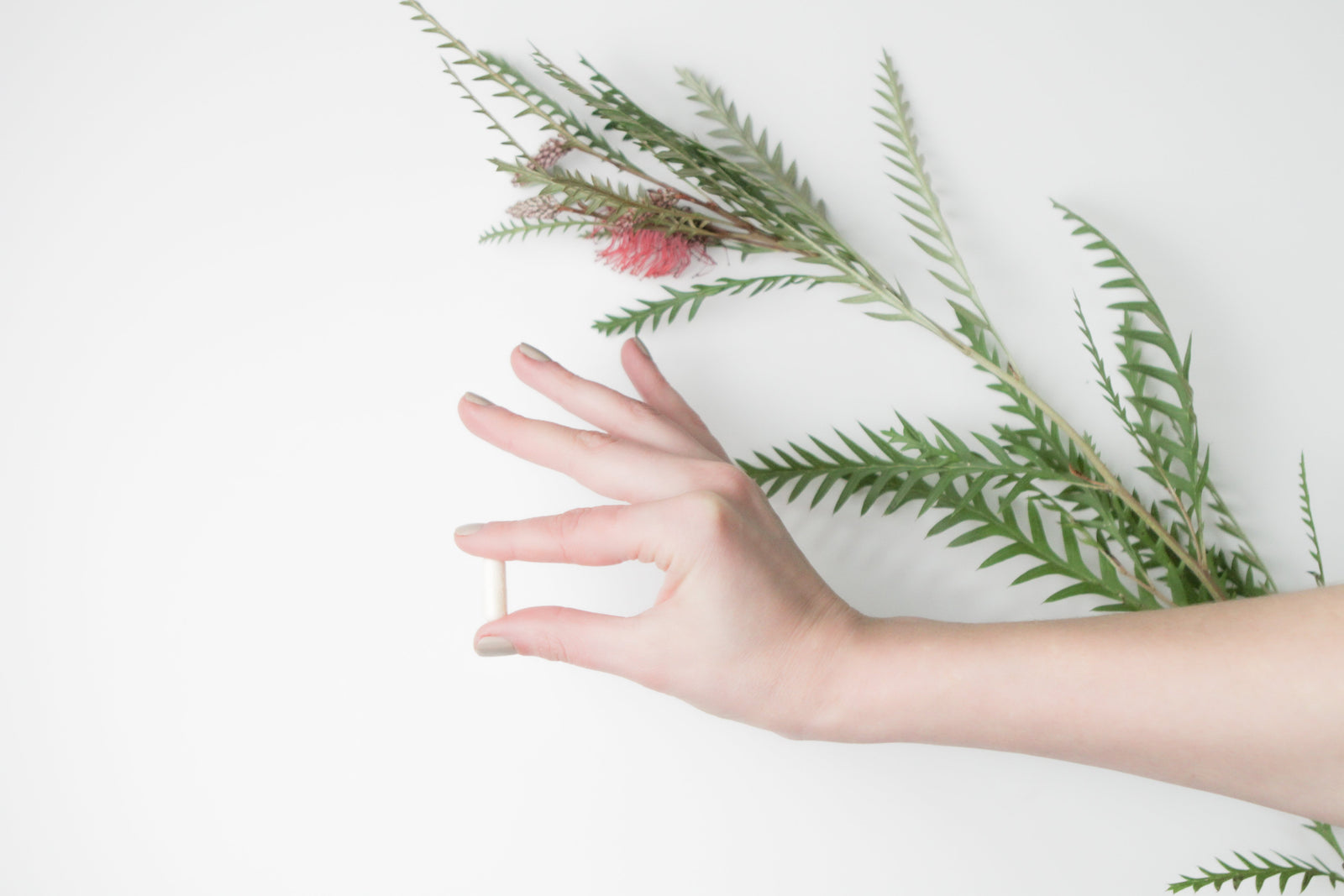 Probiotic Challenge Protocol