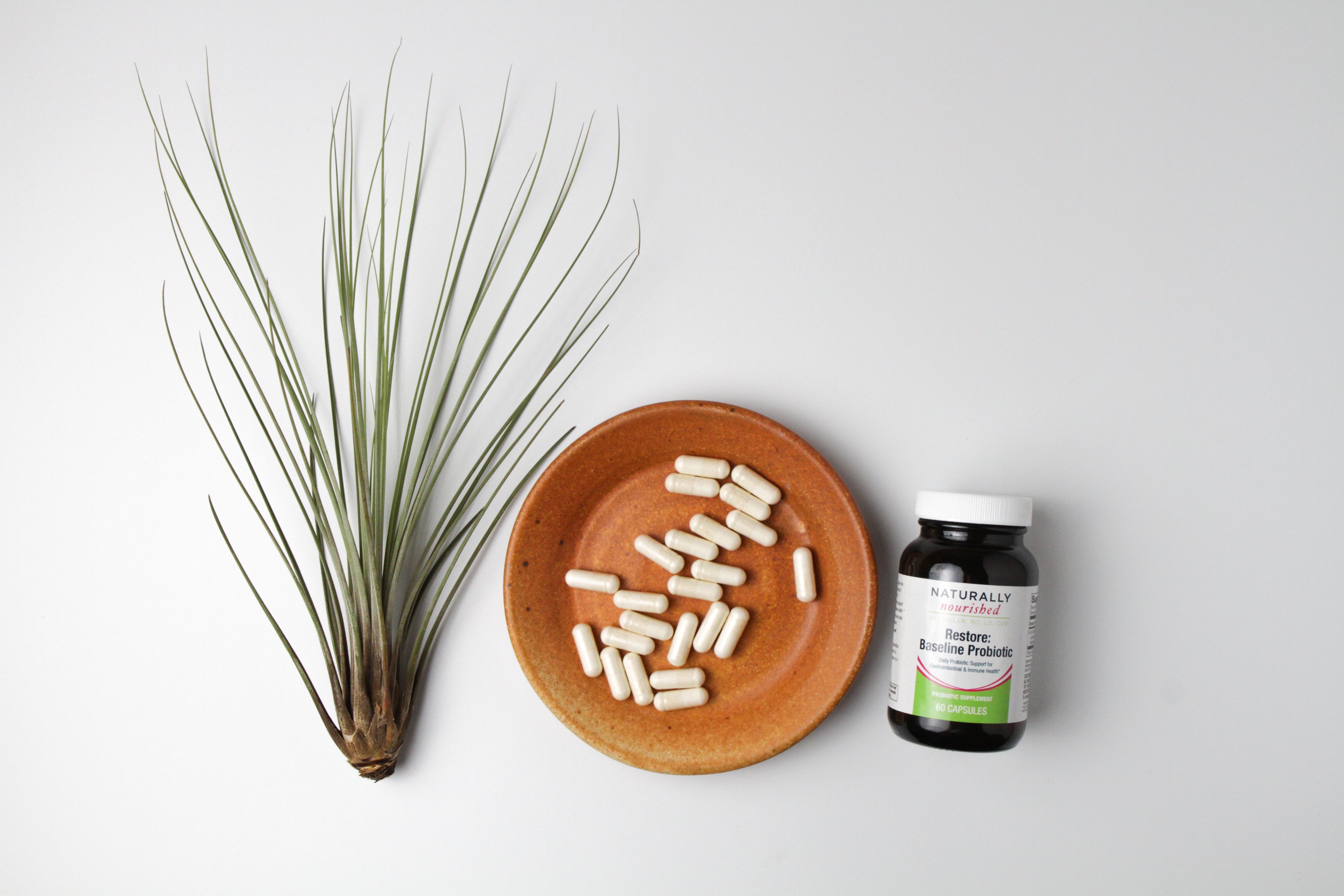 Probiotic Challenge Protocol
