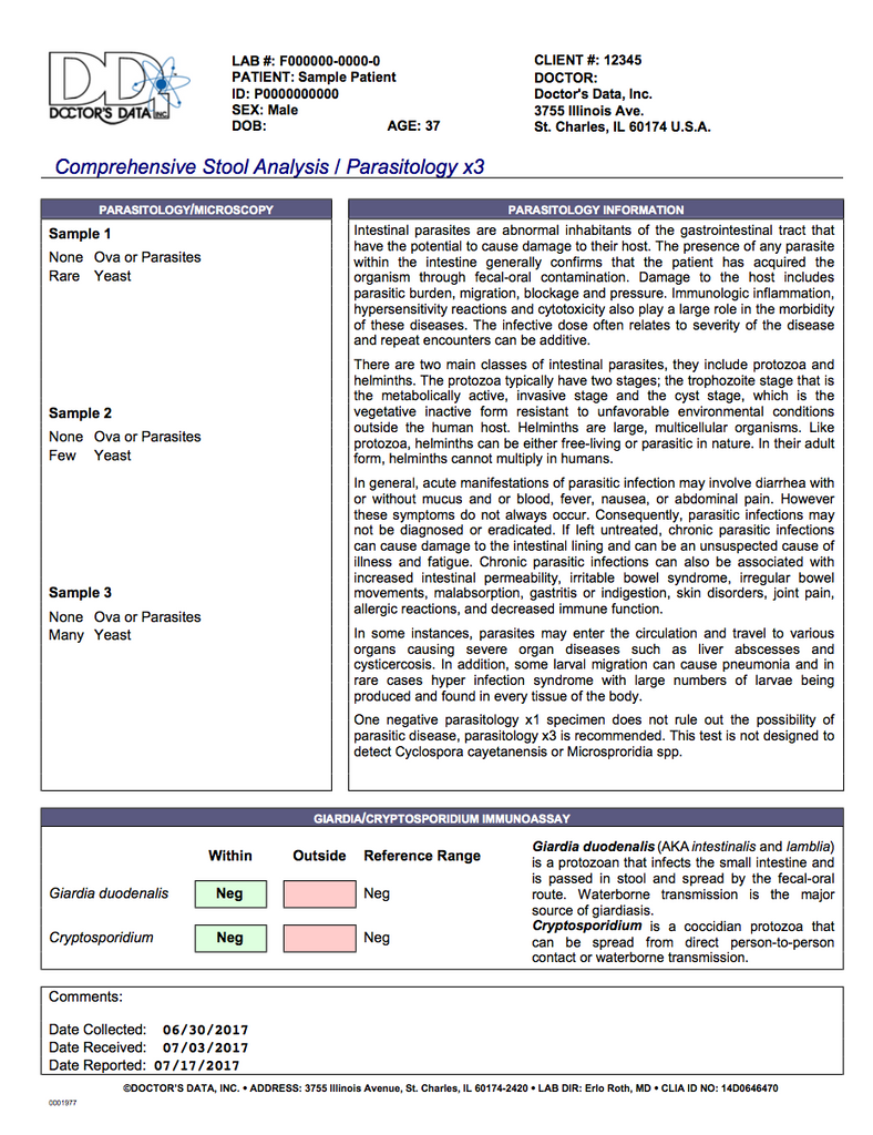 Comprehensive Digestive Stool Analysis 3 day + parasitology – Naturally ...